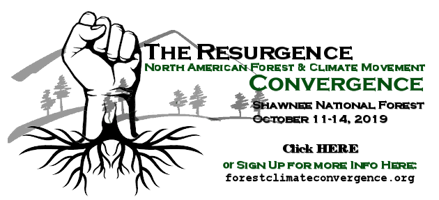 Save Our Roots | An Indigenous Peoples Campaign to Protect the Sacred ...