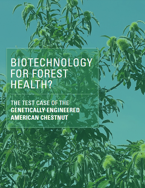 Save Our Roots – An Indigenous Peoples Campaign to Protect the Sacred ...